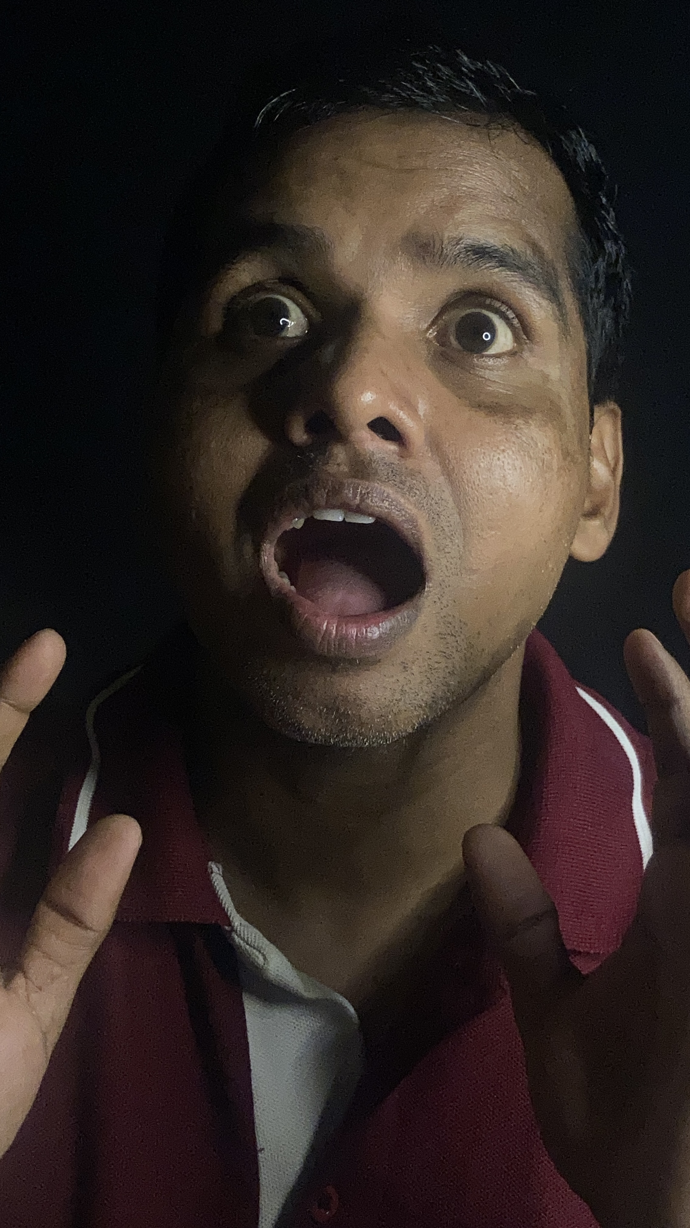Sridhar Palani | ActorCV